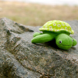 Scooter the Turtle - whileshenaps.com