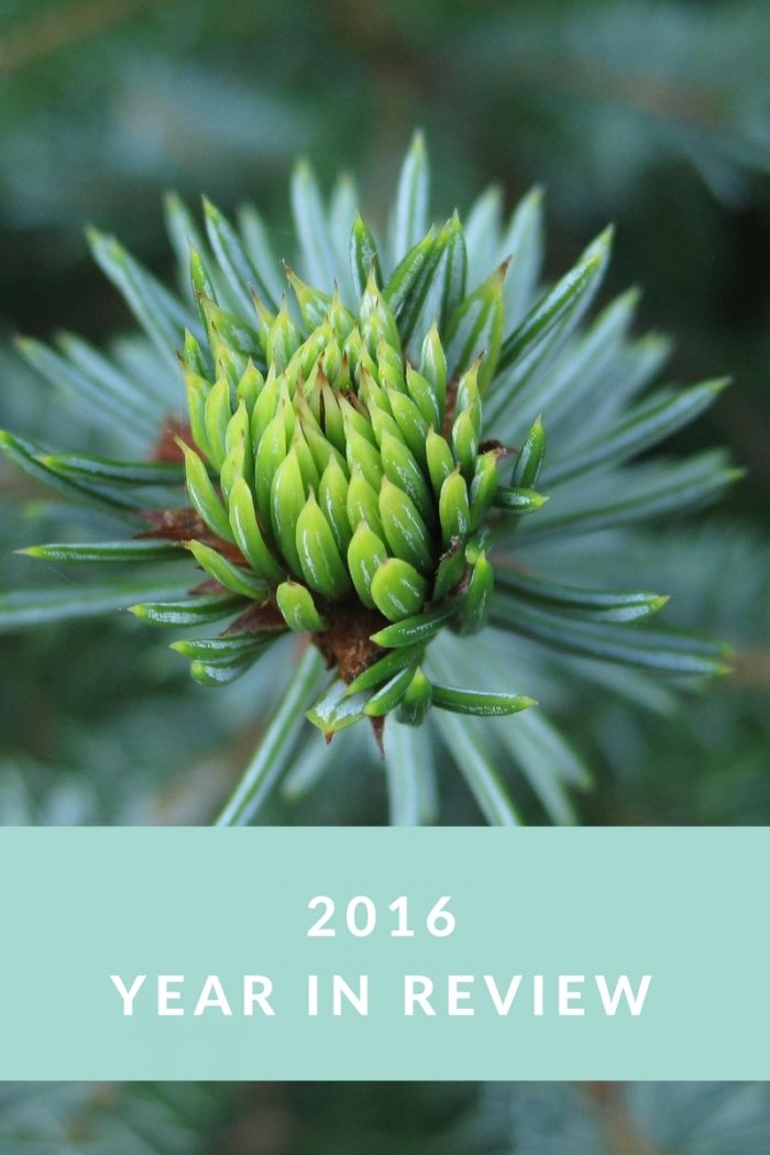 2016 Year In Review Whileshenaps 2016 Year In Review Whileshenaps