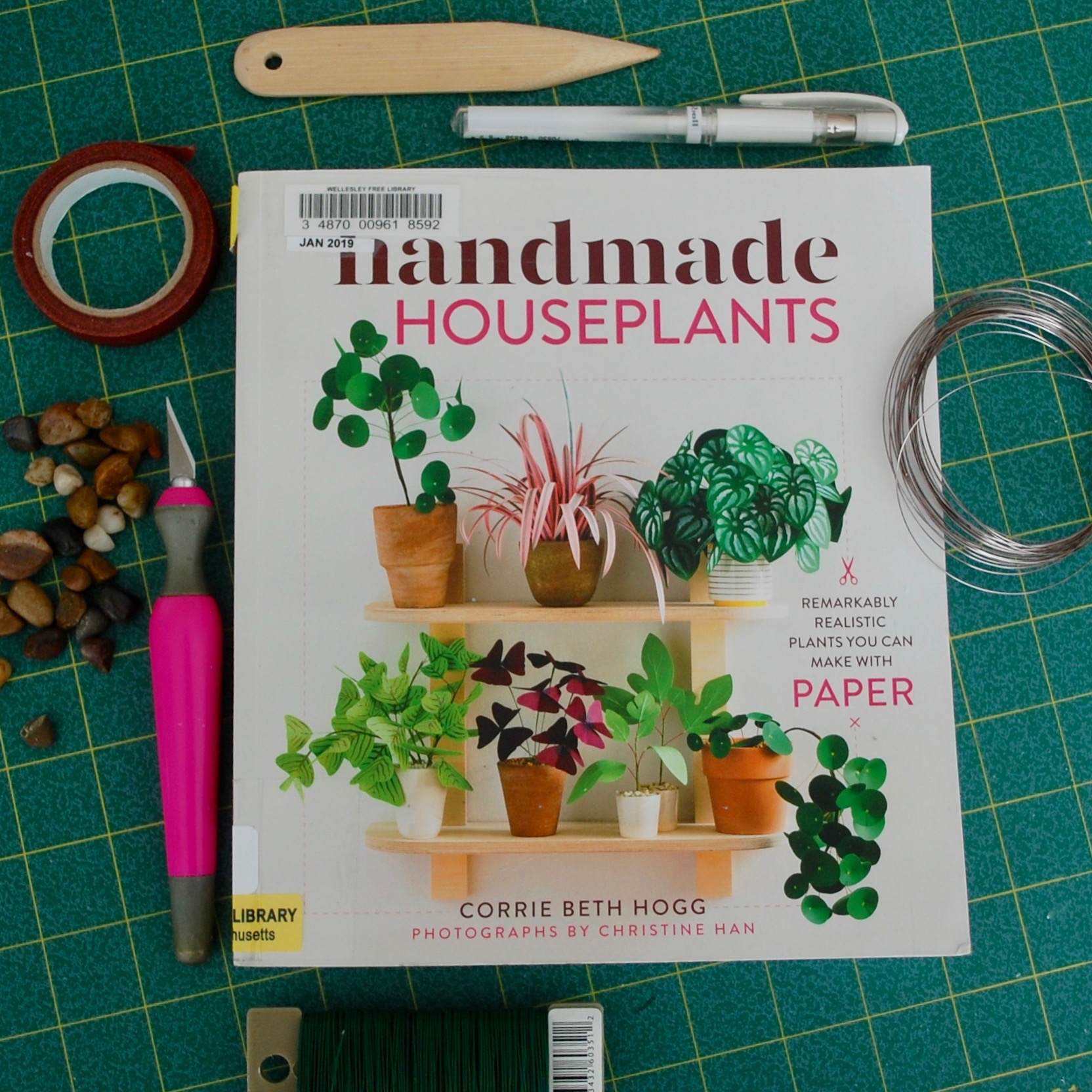 Book Review: Handmade Houseplants by Corrie Beth Hogg - whileshenaps.com